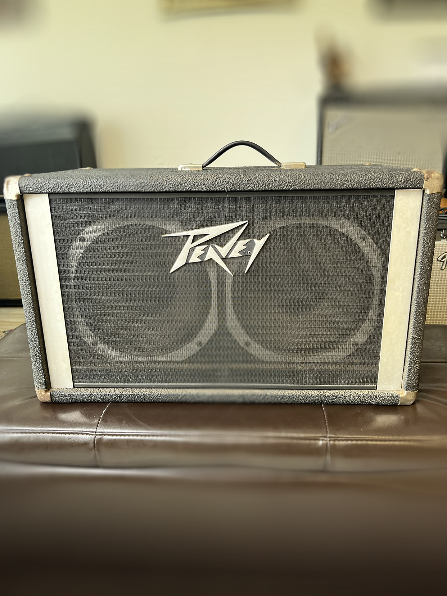 Peavey Model 210 Bass Amp Cabinet | The Local Pickup